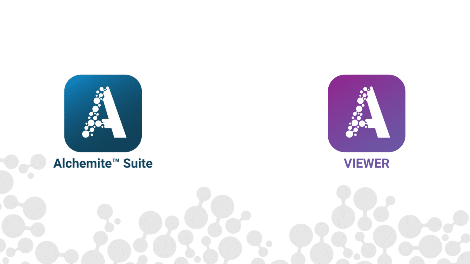 Viewer - intellegens